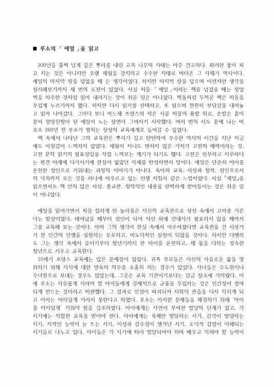 루소의 에밀 레포트 자료
