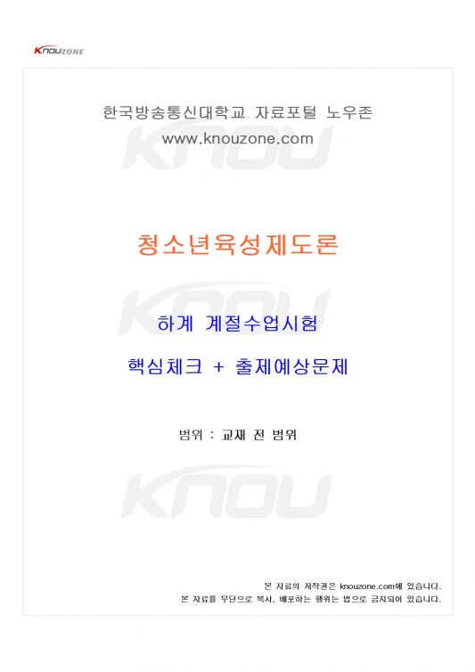 2024년 청소년육성제도론 하계계절시험 핵심체크