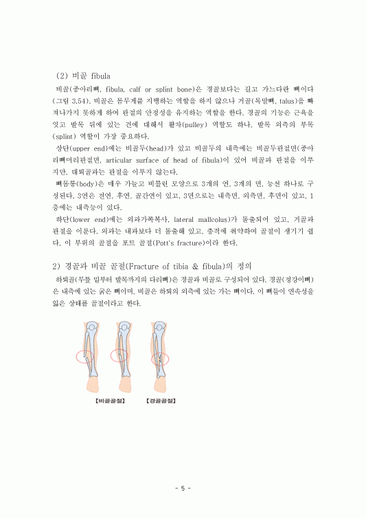 5쪽 미리보기