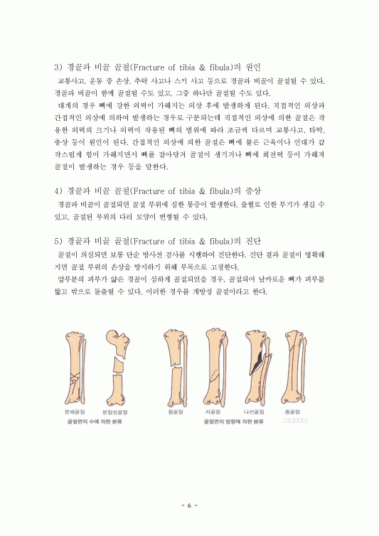 6쪽 미리보기