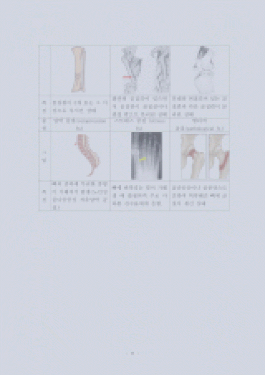 11쪽 미리보기