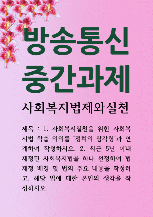 사회복지법제와실천 사회복지실천을 위한 사회복지법 학습 의의를 정치의 삼각형과 연계