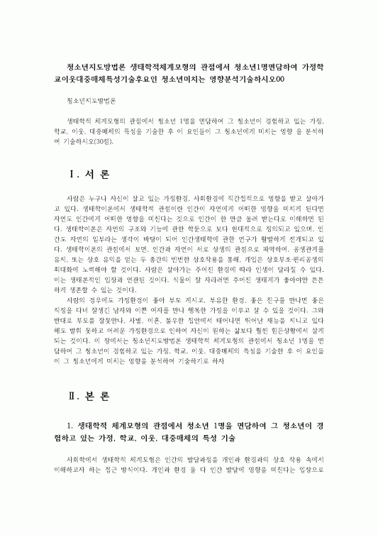청소년지도방법론 생태학적체계모형의 관점에서 청소년1명면담하여 가정학교이웃대중매체특성기술후요인 청소년미치는 영향분석기술하시오00