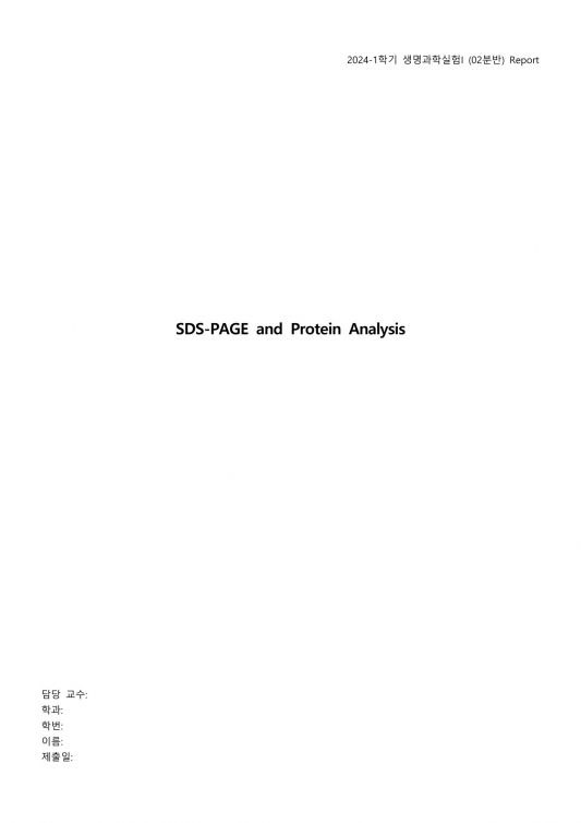 [이화여대 생명과학실험1 분반1등] SDS-PAGE and Protein Analysis