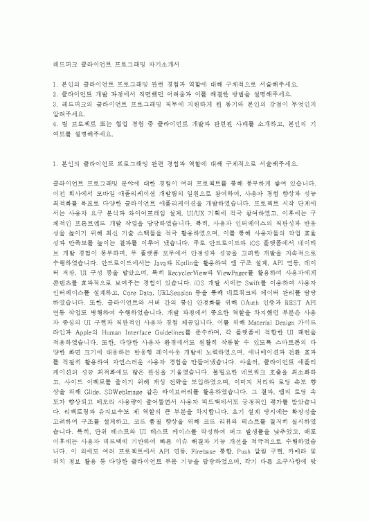 레드피크 클라이언트 프로그래밍 자기소개서