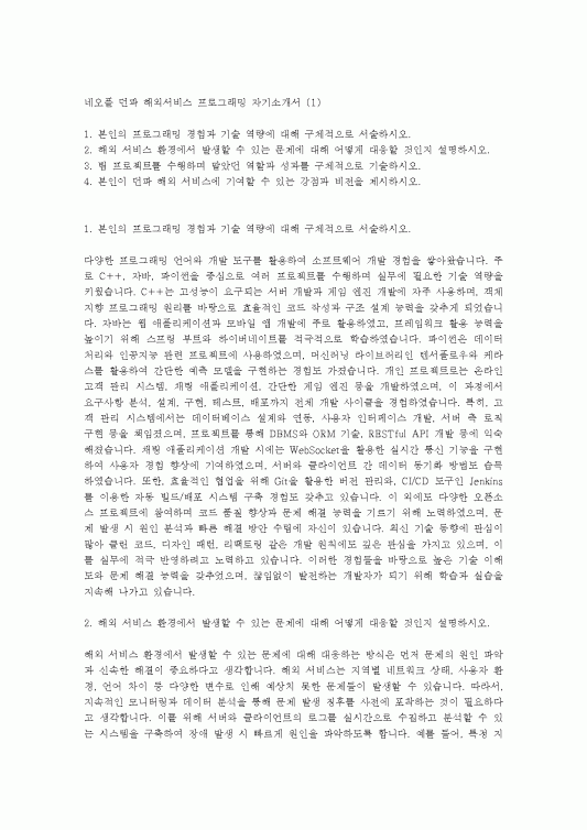 네오플 던파 해외서비스 프로그래밍 자기소개서 (1)