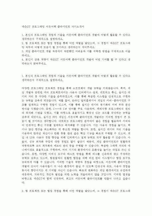 넥슨GT 프로그래밍 서든어택 클라이언트 자기소개서