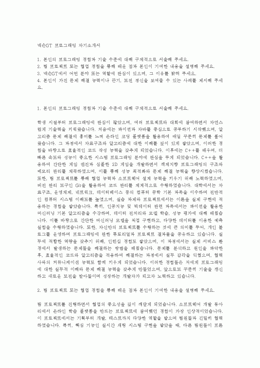 넥슨GT 프로그래밍 자기소개서