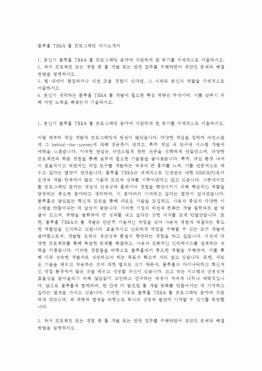 블루홀 TERA 툴 프로그래밍 자기소개서