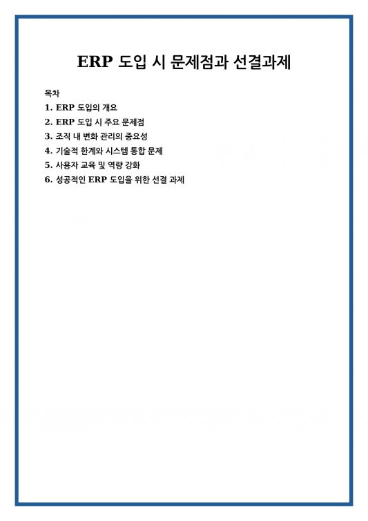 ERP 도입 시 문제점과 선결과제