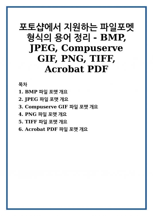 포토샵에서 지원하는 파일포멧 형식의 용어 정리 - BMP, JPEG, Compuserve GIF, PNG, TIFF, Acrobat PDF
