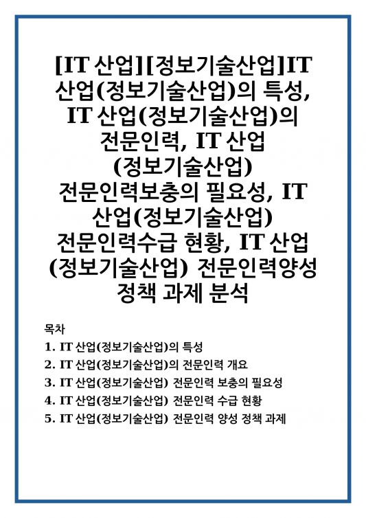 [IT산업][정보기술산업]IT산업(정보기술산업)의 특성, IT산업(정보기술산업)의 전문인력, IT산업(정보기술산업) 전문인력보충의 필요성, IT산업(정보기술산업) 전문인력수급 현황, IT산업(정보기술산업) 전문인력양성 정책 과제 분석