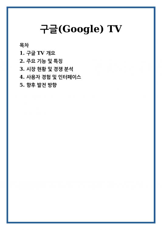 구글(Google) TV 레포트 자료