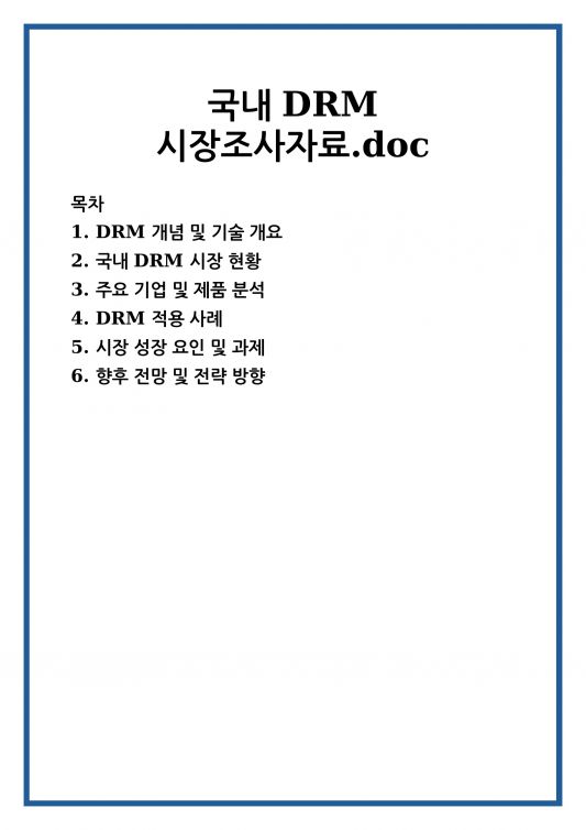 국내 DRM 시장조사자료.doc