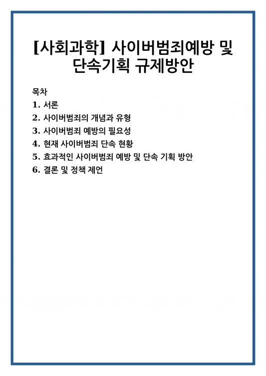 [사회과학] 사이버범죄예방 및 단속기획 규제방안