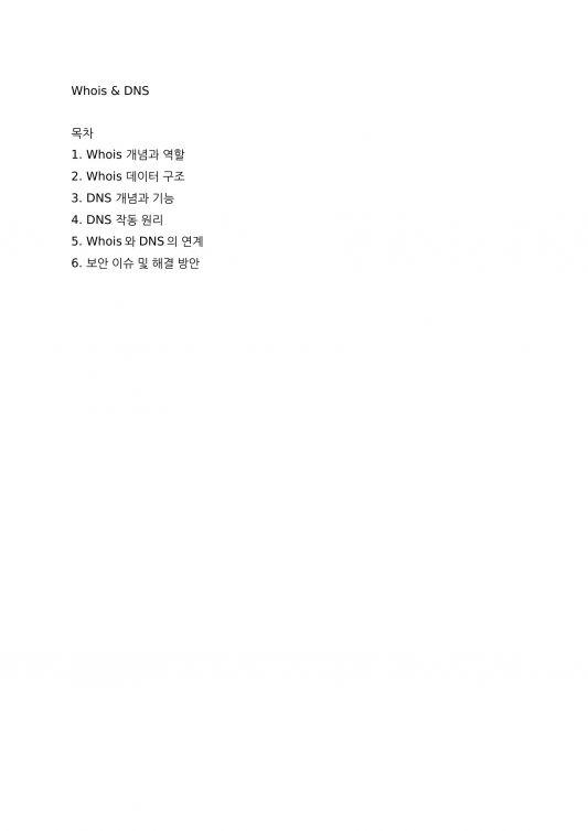 Whois & DNS 레포트 자료