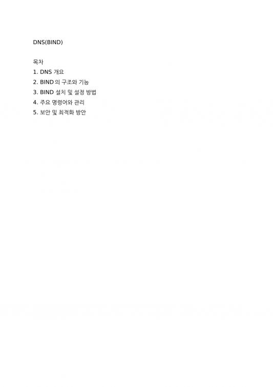 DNS(BIND) 레포트 자료