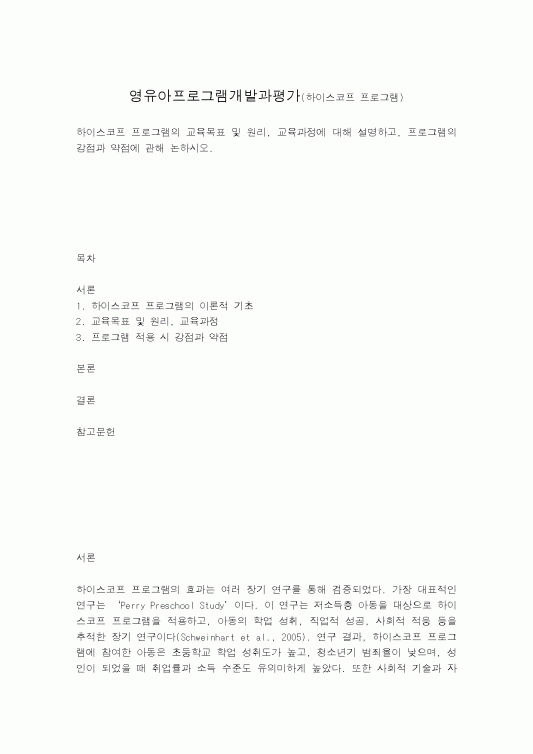 영유아프로그램개발과평가(하이스코프 프로그램)