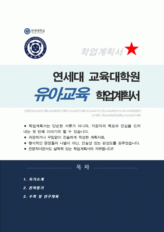 연세대 교육대학원 유아교육전공 석사과정 학업계획서