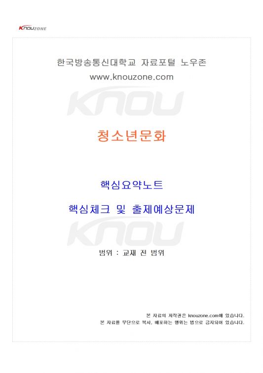 2025년 2학기 청소년문화 교재 전 범위 핵심요약노트