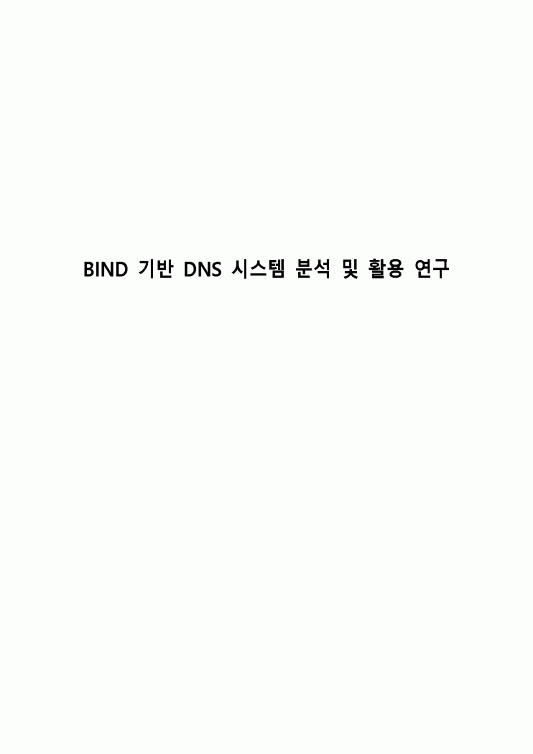 BIND 기반 DNS 시스템 분석 및 활용 연구