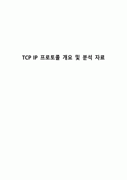 TCP IP 프로토콜 개요 및 분석 자료