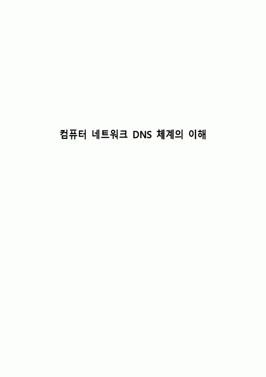 컴퓨터 네트워크 DNS 체계의 이해