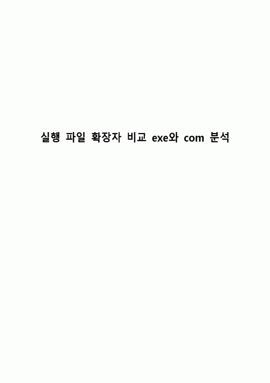 실행 파일 확장자 비교 exe와 com 분석