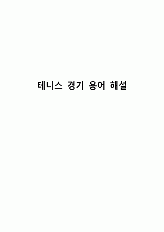 테니스 경기 용어 해설
