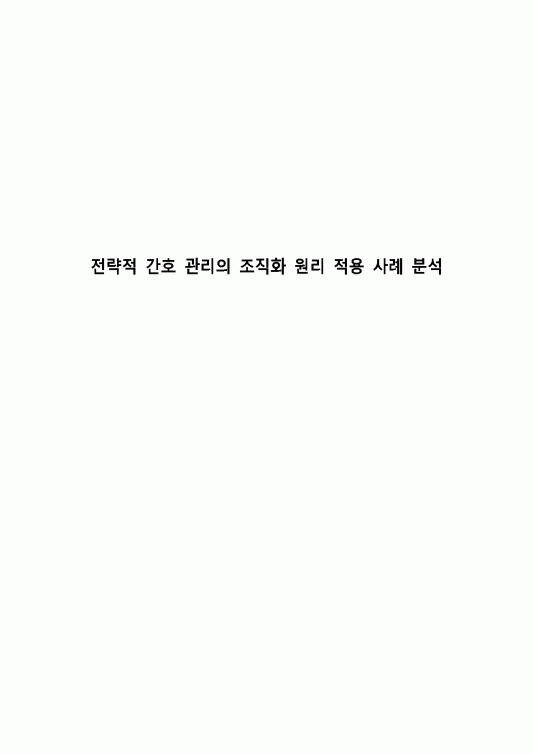 전략적 간호 관리의 조직화 원리 적용 사례 분석