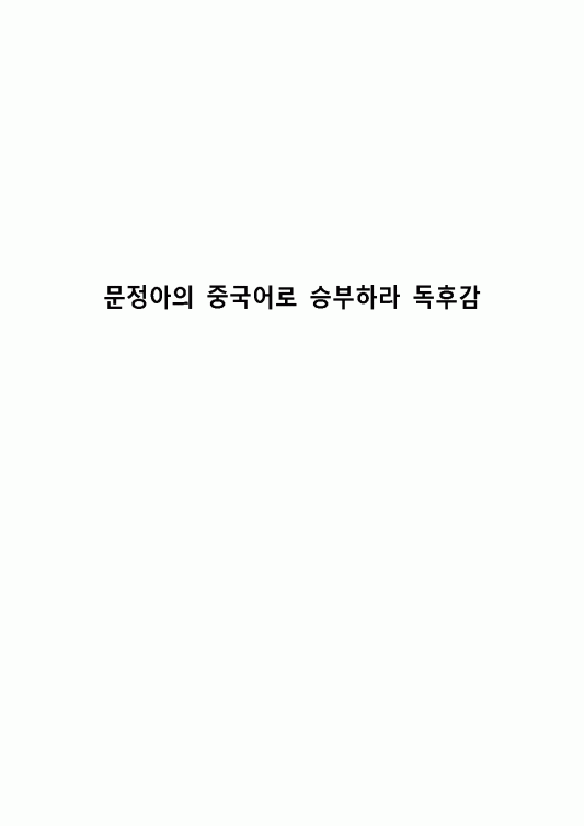 문정아의 중국어로 승부하라 독후감