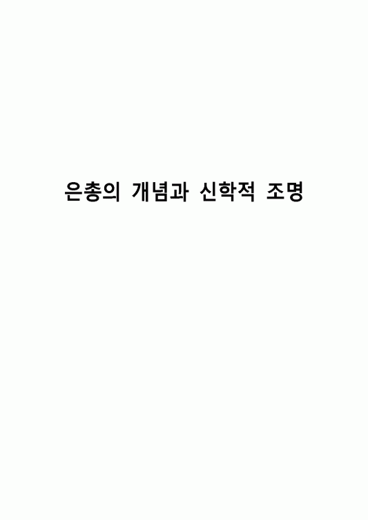 은총의 개념과 신학적 조명