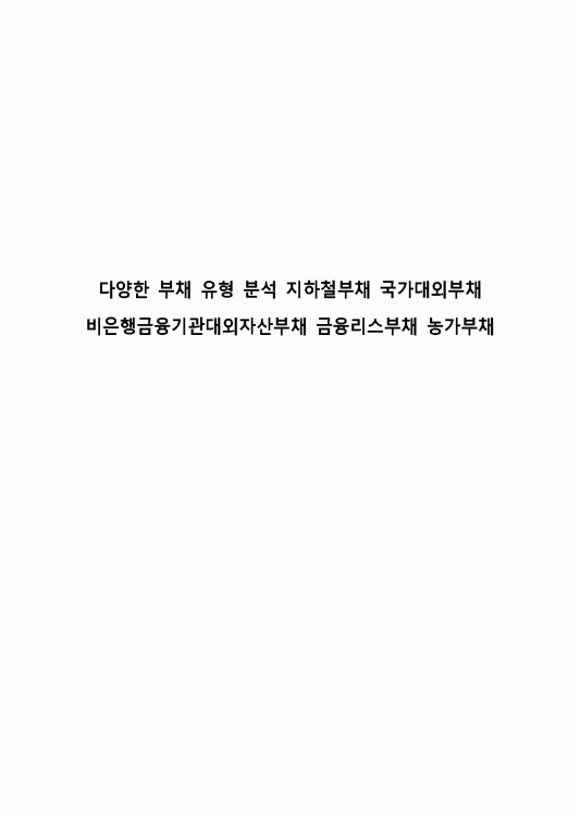 다양한 부채 유형 분석 지하철부채 국가대외부채 비은행금융기관대외자산부채 금융리스부채 농가부채