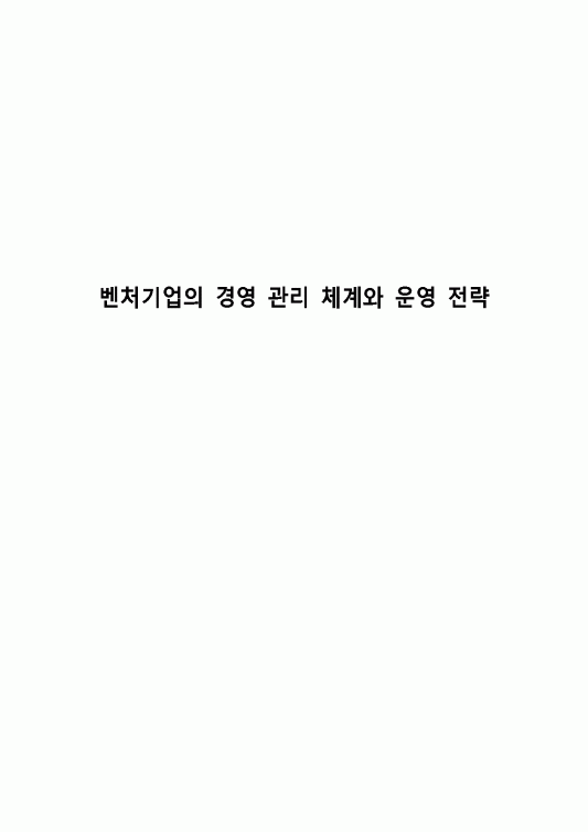 벤처기업의 경영 관리 체계와 운영 전략