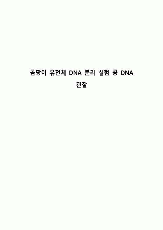 곰팡이 유전체 DNA 분리 실험 콩 DNA 관찰