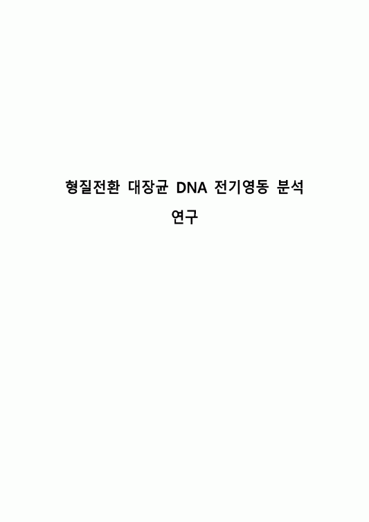 형질전환 대장균 DNA 전기영동 분석 연구
