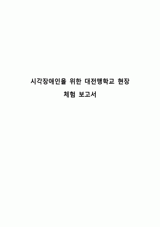 시각장애인을 위한 대전맹학교 현장 체험 보고서
