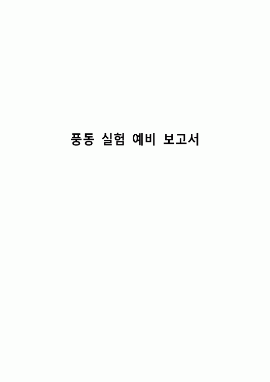 풍동 실험 예비 보고서