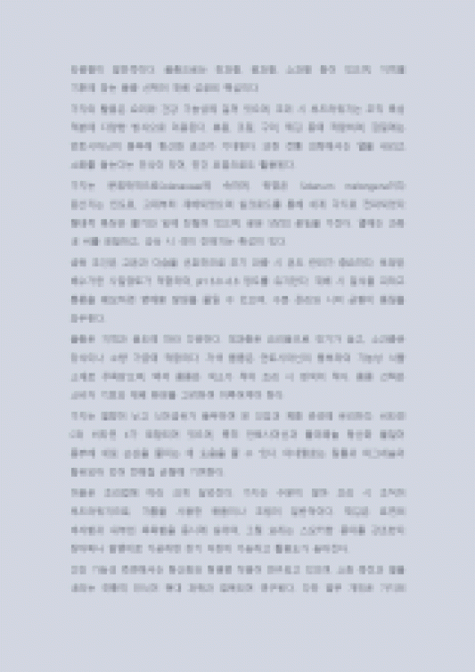 4쪽 미리보기