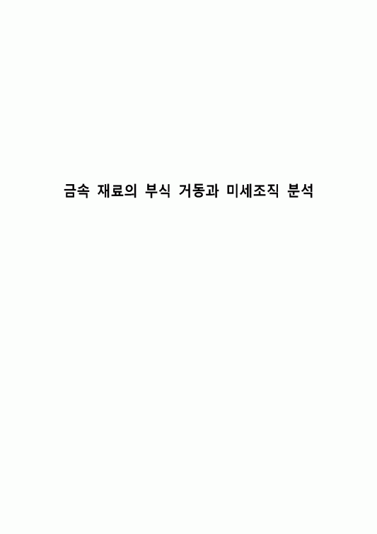 금속 재료의 부식 거동과 미세조직 분석