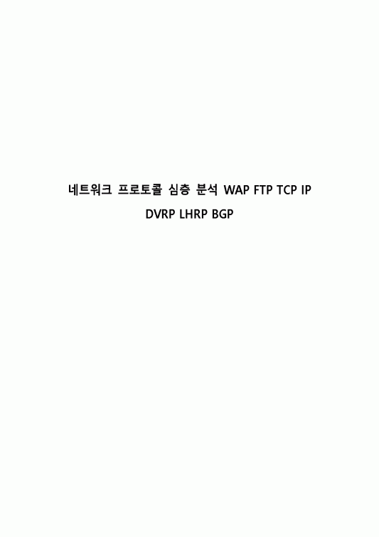 네트워크 프로토콜 심층 분석 WAP FTP TCP IP DVRP LHRP BGP