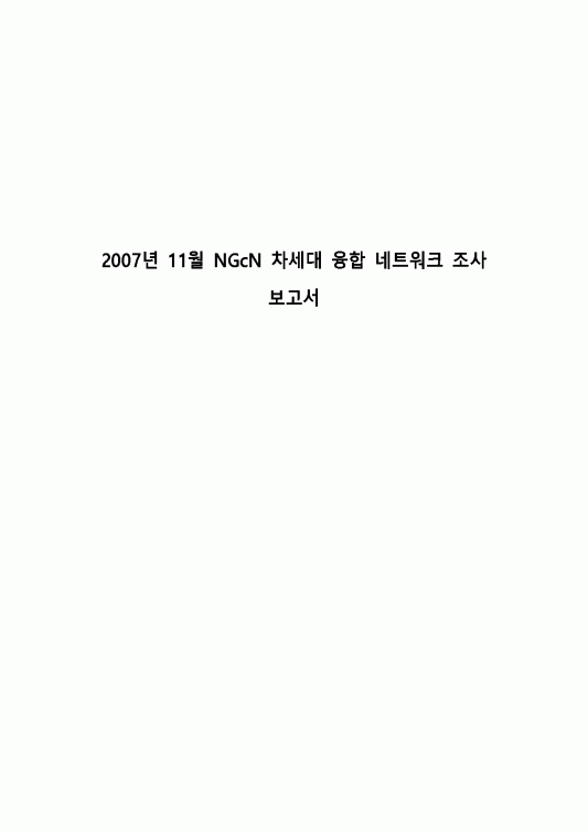 2007년 11월 NGcN 차세대 융합 네트워크 조사 보고서
