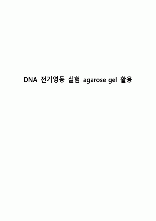 DNA 전기영동 실험 agarose gel 활용