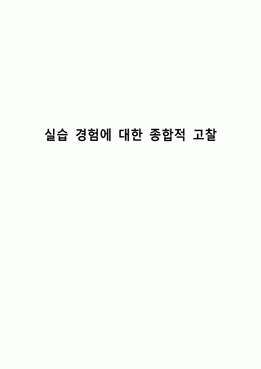 실습 경험에 대한 종합적 고찰