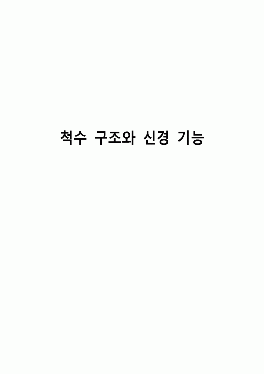 척수 구조와 신경 기능