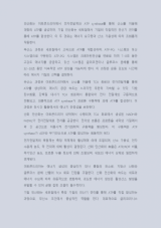 5쪽 미리보기