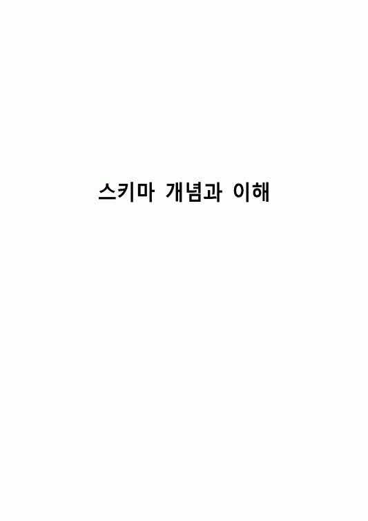 스키마 개념과 이해