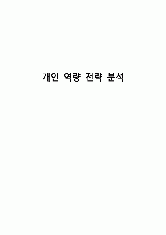 개인 역량 전략 분석