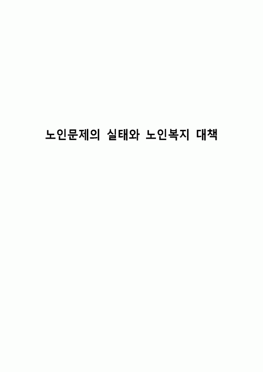노인문제의 실태와 노인복지 대책