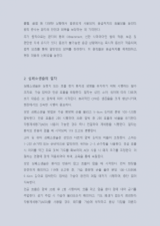 5쪽 미리보기